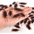 180 Pcs Realistic Bugs Plastic Trick Joke Toys Cockroaches Spiders ...