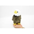 Bald Eagle, Bird, Realistic, Lifelike, Stuffed, Bird, Soft, Toy ...