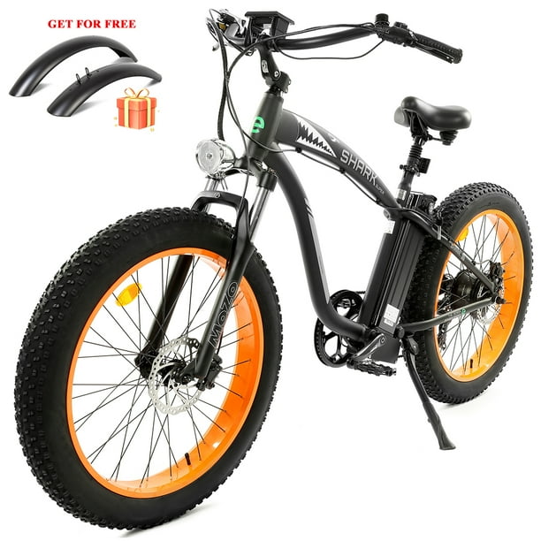 E Cycle