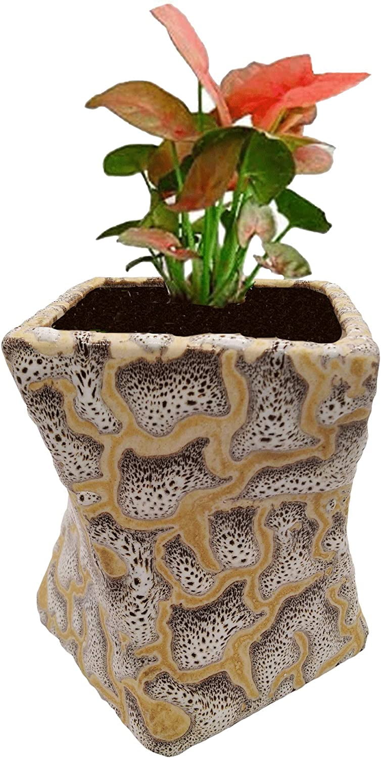 India Meets India Ceramic Flower Pot Planter Pot Indoor Outdoor Planter ...