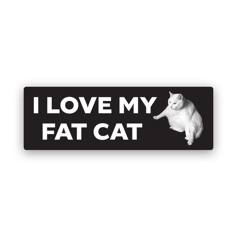 Funny Fat Cat Pictures With Words