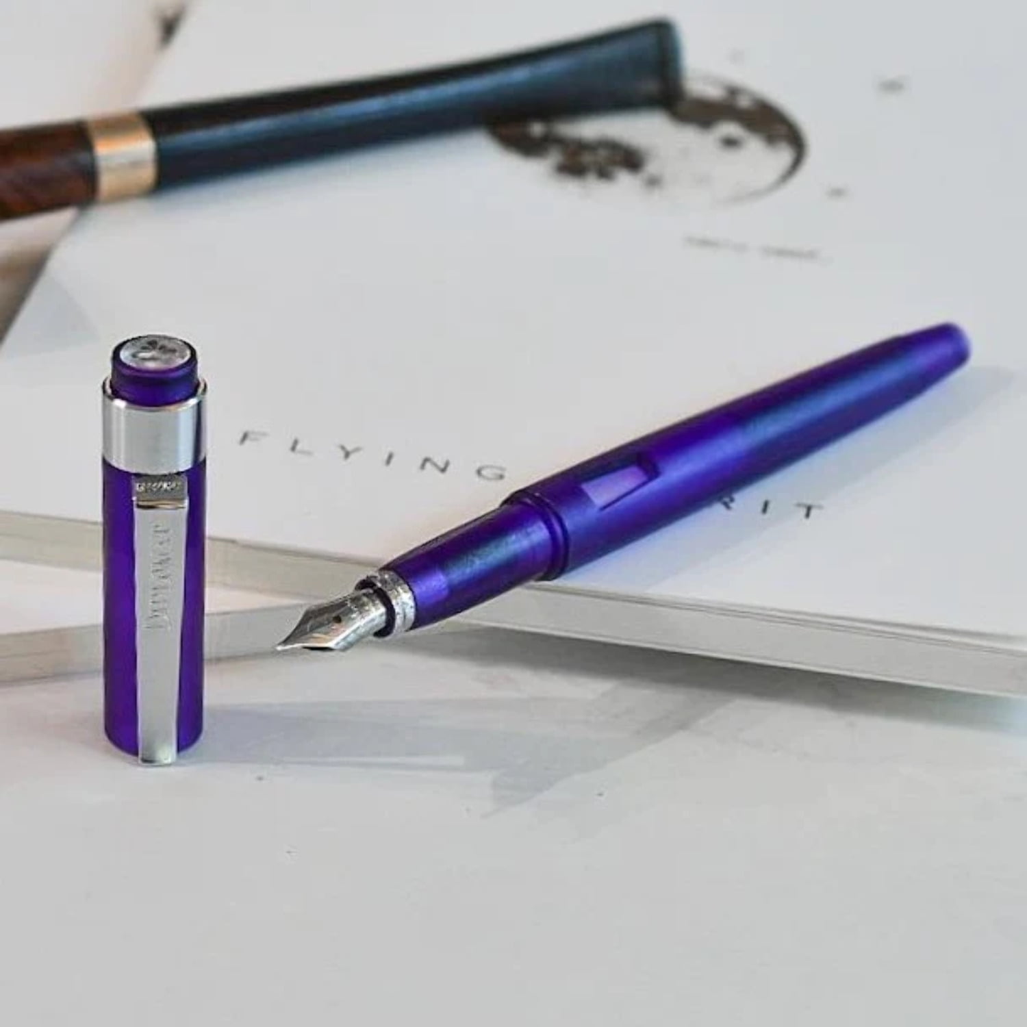 Diplomat Magnum Demo Purple Fountain Pen - Walmart.com