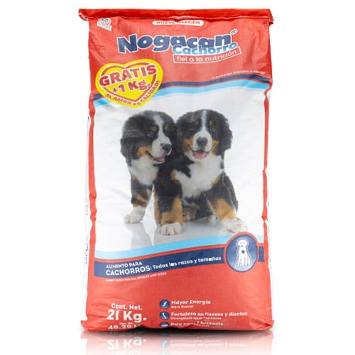 Nogacan - Alimento Seco Para Cachorro NOGACAN Alimento Croquetas ...