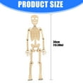 2PCS Human Skeleton Assembly Set STEM Learning Tool For Classroom ...