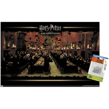 Harry Potter and the Sorcerer's - Celebration Wall Poster with Push ...