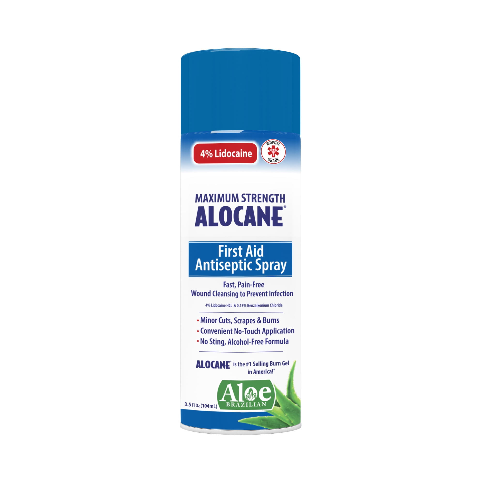 ALOCANE Maximum Strength First Aid Antiseptic Spray, 3.5 Fl Oz ...