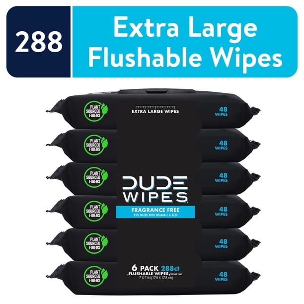 DUDE Wipes Unscented XL Flushable Wipes, 6 Flip-Top Packs, 48 Wipes per ...