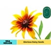 30 Seeds| Cherry red double knockout rose seeds #1408 | Seeds, Herbal ...