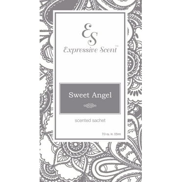 Expressive Scent 6 Pack Large Scented Sachet, Long Lasting Air ...