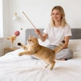 AURIGATE Interactive Cat Teaser Wand Toy 15.74in Wooden Stick 23.62in ...