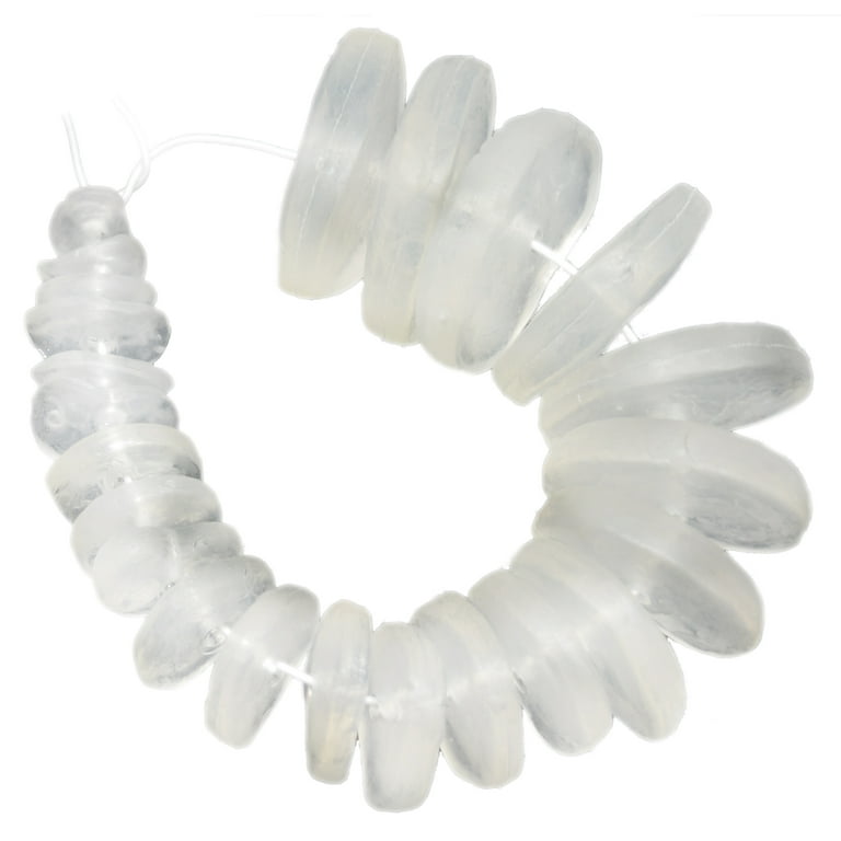 Chiropractic Spine Model