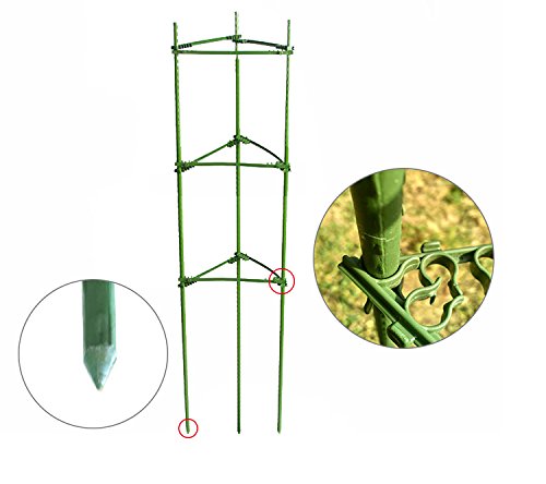 Mr. Garden Tomato Cages,Plant Cage, Sturdy And Durable 3-Feet High 2 ...