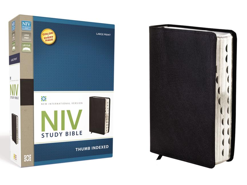 Study Bible NIV Large Print Walmart Walmart Study Bible NIV Large Print Walmart Walmart
