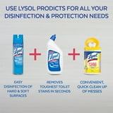 Lysol Professional IC Disinfectant Spray, 19oz with Control Flo Valve ...