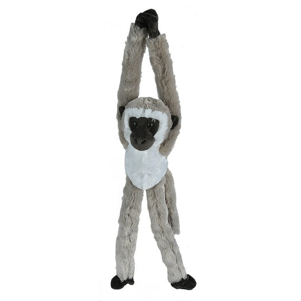 Wild Republic Vervet Monkey, Stuffed Animal, Plush Toy, Gifts for Kids ...