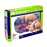 4D Vision Dog Anatomy Model - Walmart.com