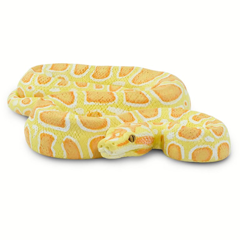 Albino Burmese Python Cake