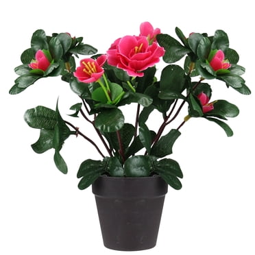 5" Feng Shui Amethyst Purple Money Tree Wealth Fortune Blessing Gift US ...