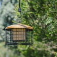 MEKKAPRO Bird Feeder Squirrel Proof with Hanging Metal Roof, Bird ...