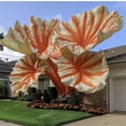 Blue Elephant Ear for Planting-(Non-Artificial)-Effortless to Raise ...