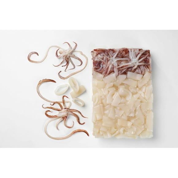 Frozen Squid