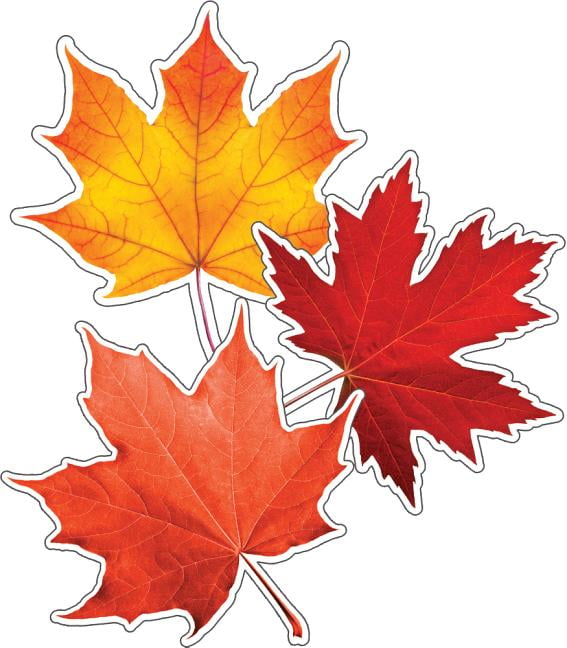 Woodland Whimsy Fall Leaves Cut-Outs - Walmart.com - Walmart.com