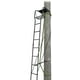 Realtree 15' Ridge Runner Single Person Ladder Treestand - Walmart.com