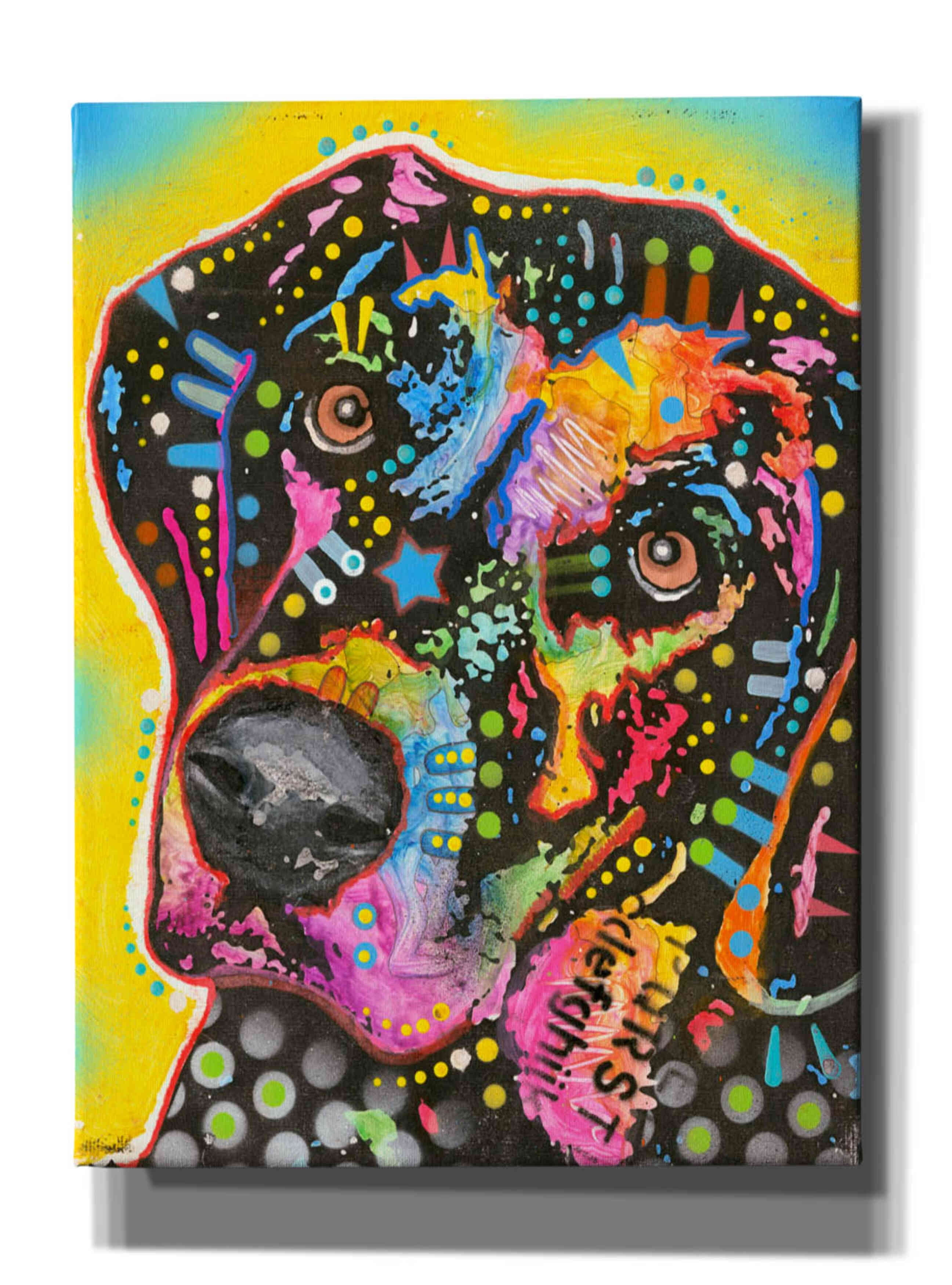 Epic Graffiti 'Lab Love 3' by Dean Russo, Canvas Wall Art, 40"x54 ...
