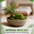 XIBUFE Moss Balls,Flattened Half-Sphere Design Moss Balls,Evergreen All ...