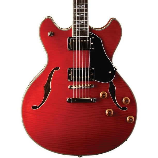 Washburn USM-HB35 Hollowbody Dual Humbucker Electric Guitar - Walmart ...