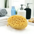 myHomeBody Premium Bath Sponge, Firm Exfoliating Shower Sponge, Body ...
