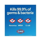 Regular Bleach with CloroMax Technology 81 oz Bottle, 6/Carton ...