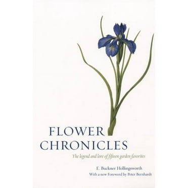 Free Shipping! Patty Paper Geometry (Paperback) - Walmart.com