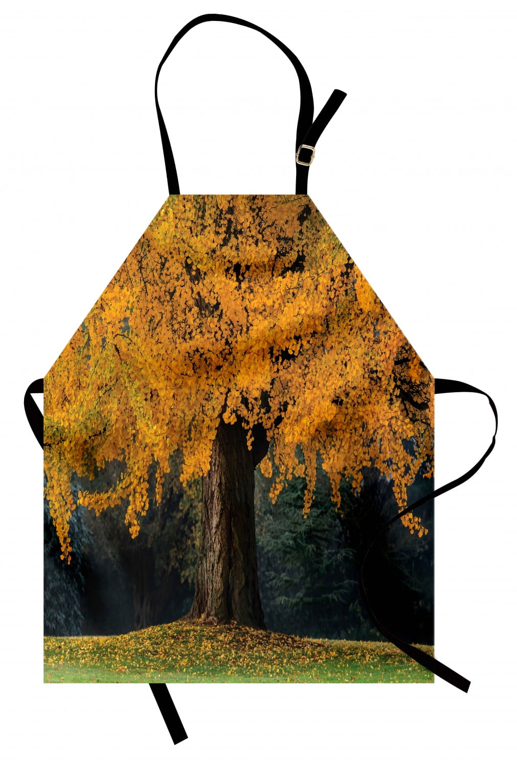 Tree Apron An Old Tree with Golden Leaves During Fall Evergreen Forest ...