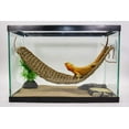 Penn-Plax Reptology Lizard Lounger for Reptiles – Seagrass – Extra ...