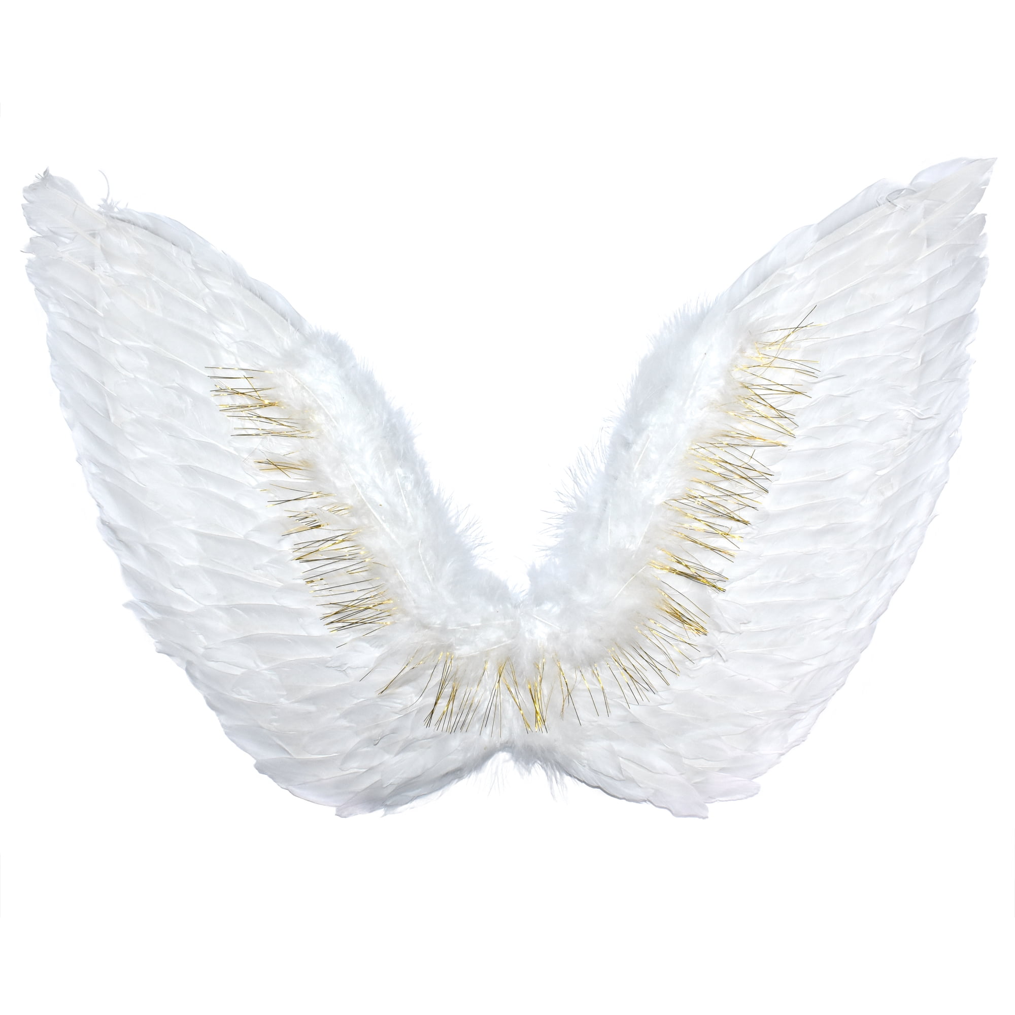 White Wings