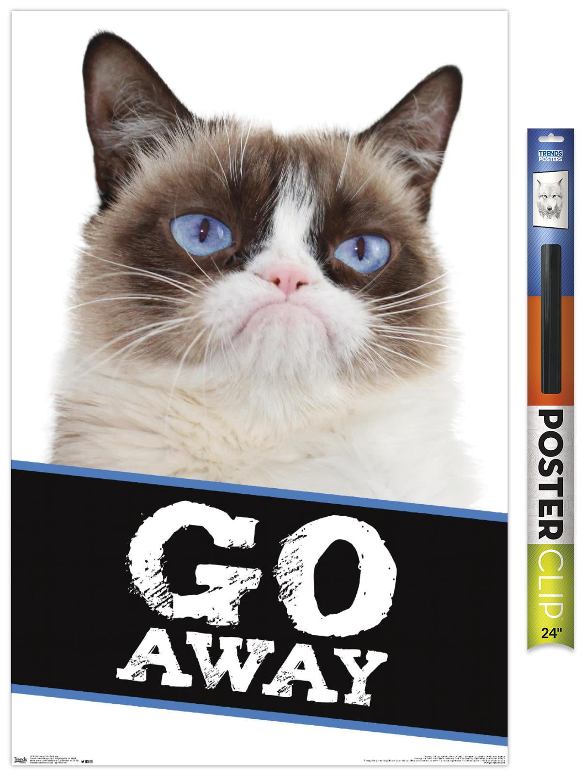 Grumpy Cat - Go Away Wall Poster, 22.375" x 34" - Walmart.com