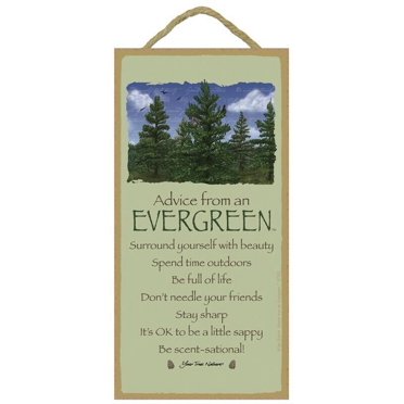 EverGreen Outdoor Metal, Wood Message Sign, 11.8''" x 47.6'' " x 1.8 ...