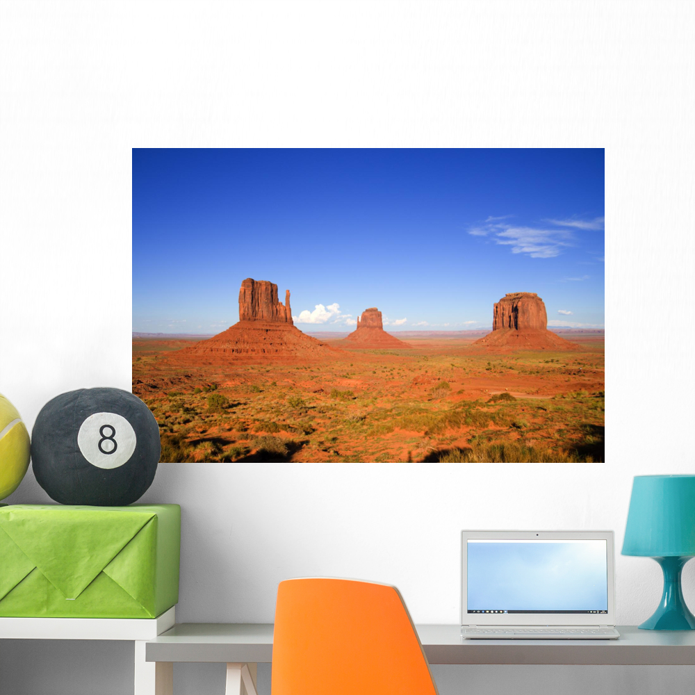 Beautiful Monument Valley Utah Wall Mural Decal by Wallmonkeys Vinyl ...