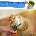 2Pcs Cat Grass Planter Trianu Catnip Wheatgrass Seed Sprout Tray ... 2Pcs Cat Grass Planter Trianu Catnip Wheatgrass Seed Sprout Tray ...