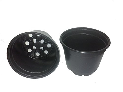 30 NEW 4 Inch TEKU Plastic Nursery Pots - Azalea Style ~ Pots ARE 4 ...