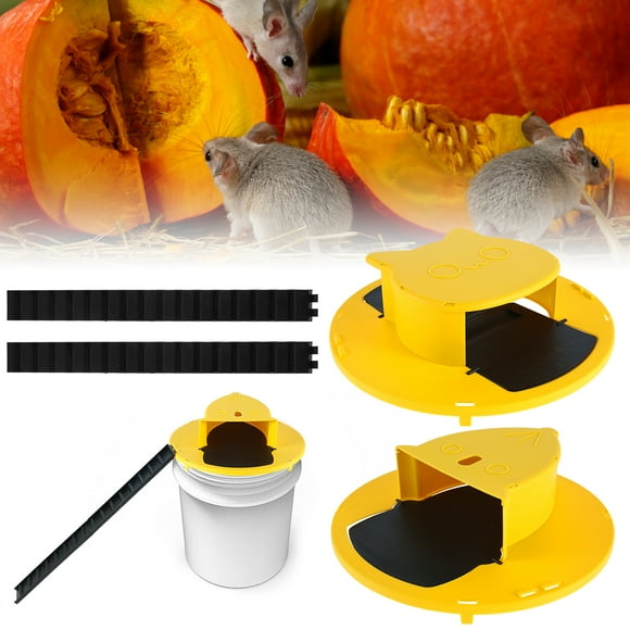 5 Gallon Bucket Mouse Trap