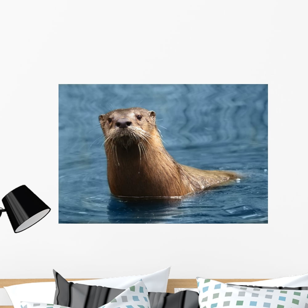 Nosy Otter Wall Mural by Wallmonkeys Peel and Stick Graphic (36 in W x ...