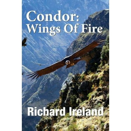 Condor: Wings of Fire | Walmart Canada
