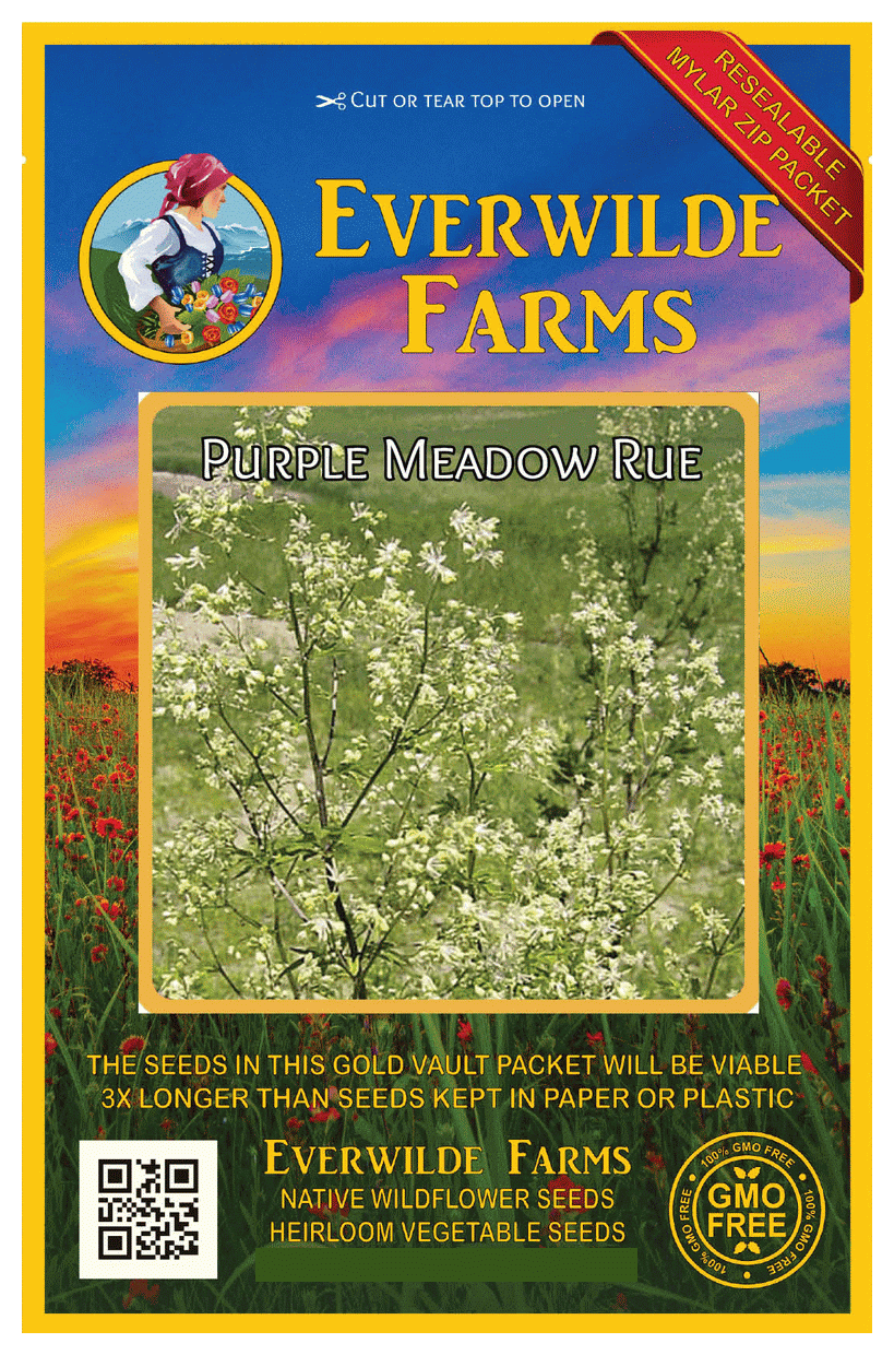 Everwilde Farms - 1 Oz Purple Meadow Rue Native Wildflower Seeds - Gold ...