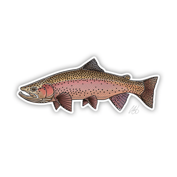 Casey Underwood Spring Rainbow Trout Decal Sticker - Walmart.com