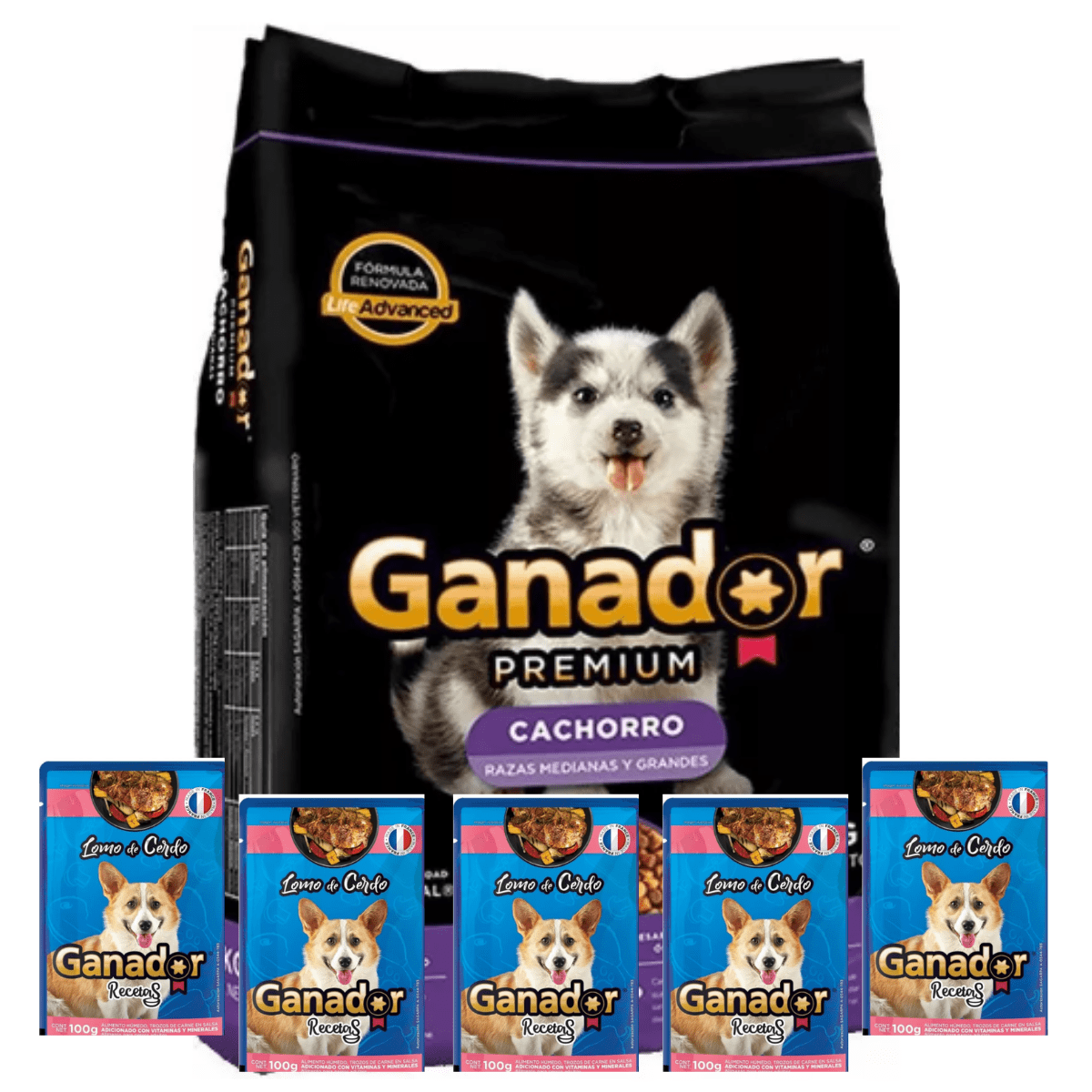 Alimento para perro Ganador Premium Cachorro Razas Medianas y Grandes ...