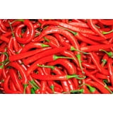 300 Seeds LONG Red CAYENNE PEPPER Capsicum Annuum Vegetable Seeds ...