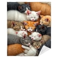 Extra Large Plush Cat Print Blanket Suitable for Bed, Couch & Outdoor ...