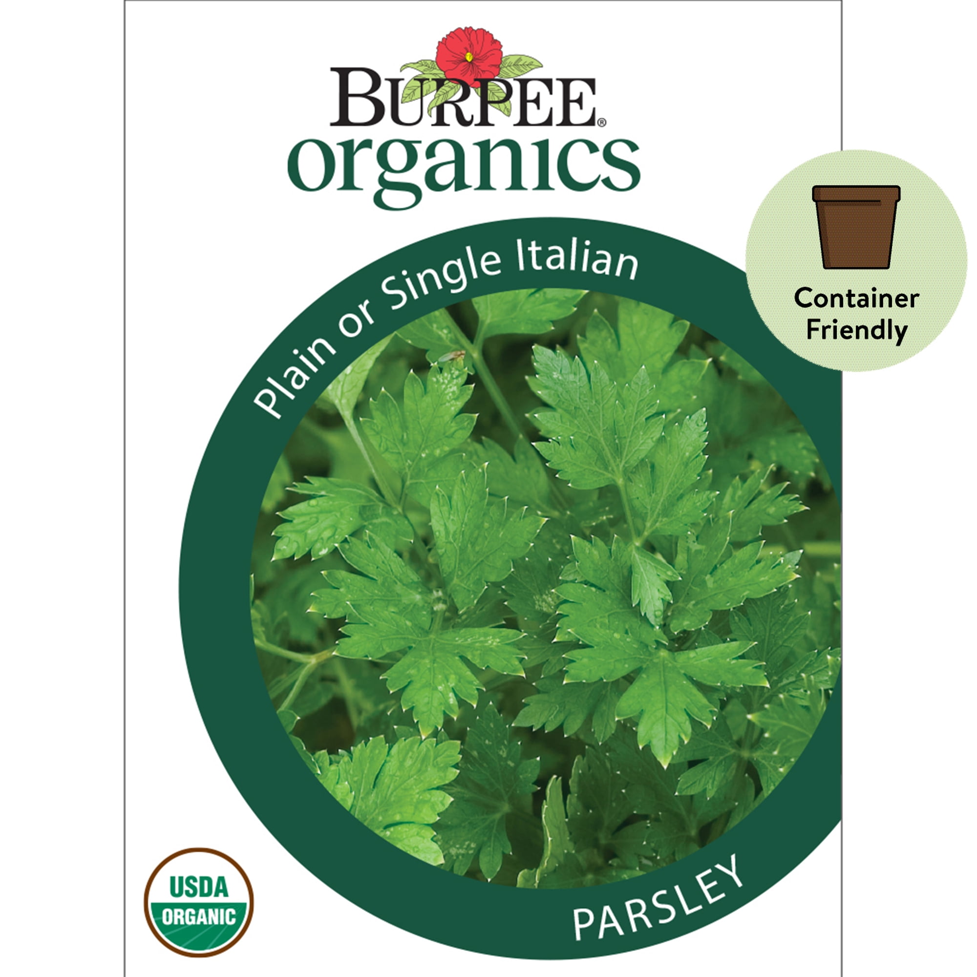 Seeds & Seed Bombs Home & Living Organic Parsley Seed Outdoor ...